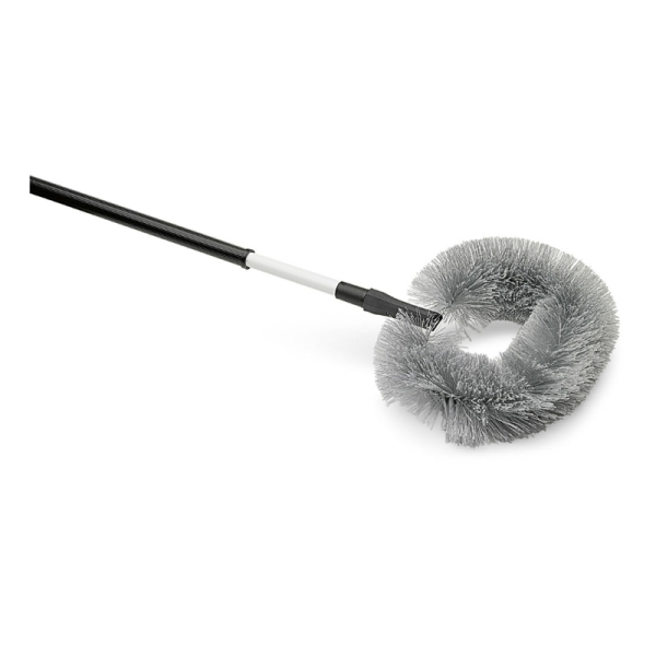 Staubbiene mit Telestiel, oval